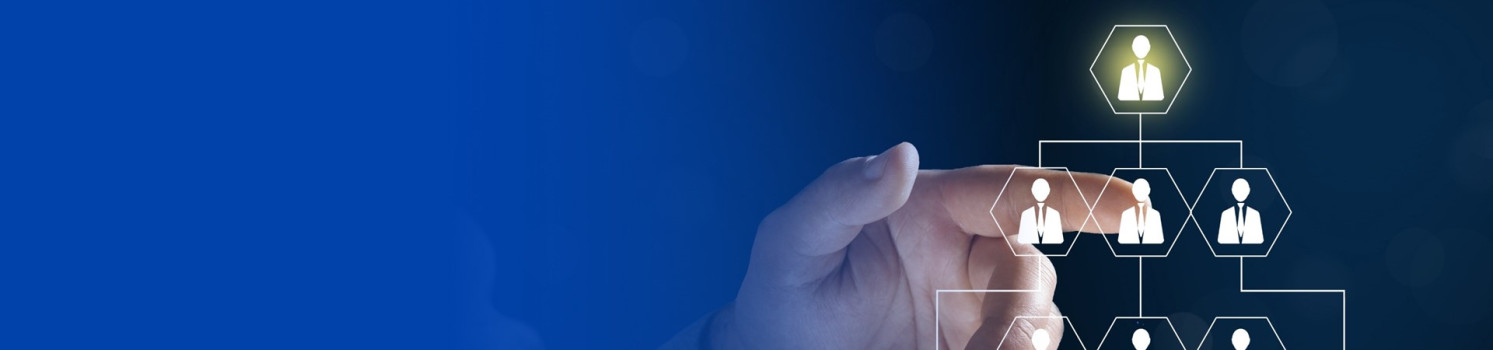 Organization Structure | Micro Leasing