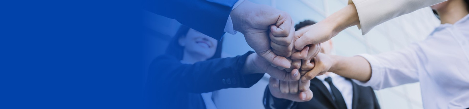 Vision, Mission and Core Values | Micro Leasing