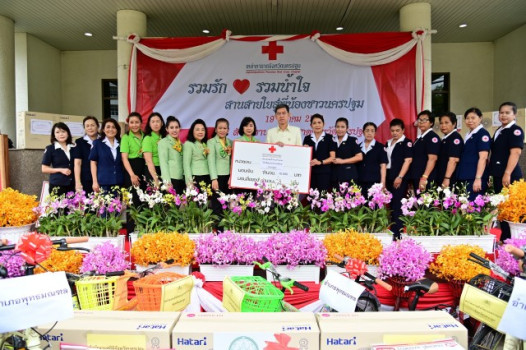 Red Cross Activities | Micro Leasing